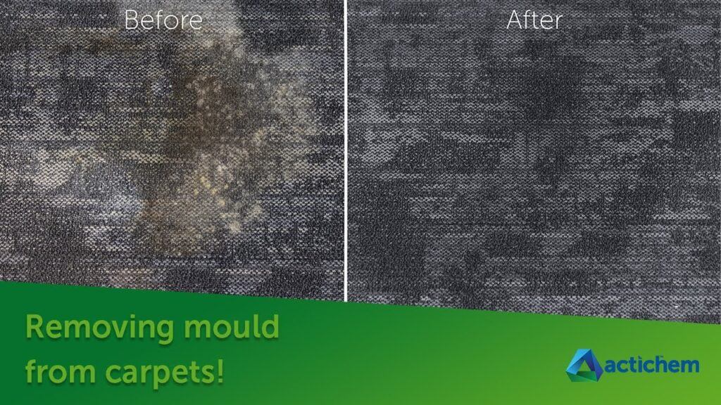 How to remove mould from carpets - Actichem