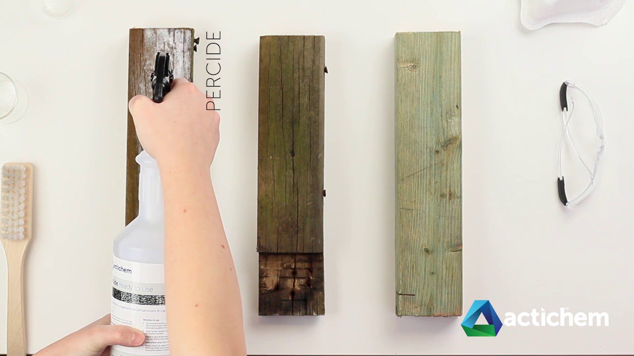 How to use Actichem's Percide for effective mold removal - Actichem