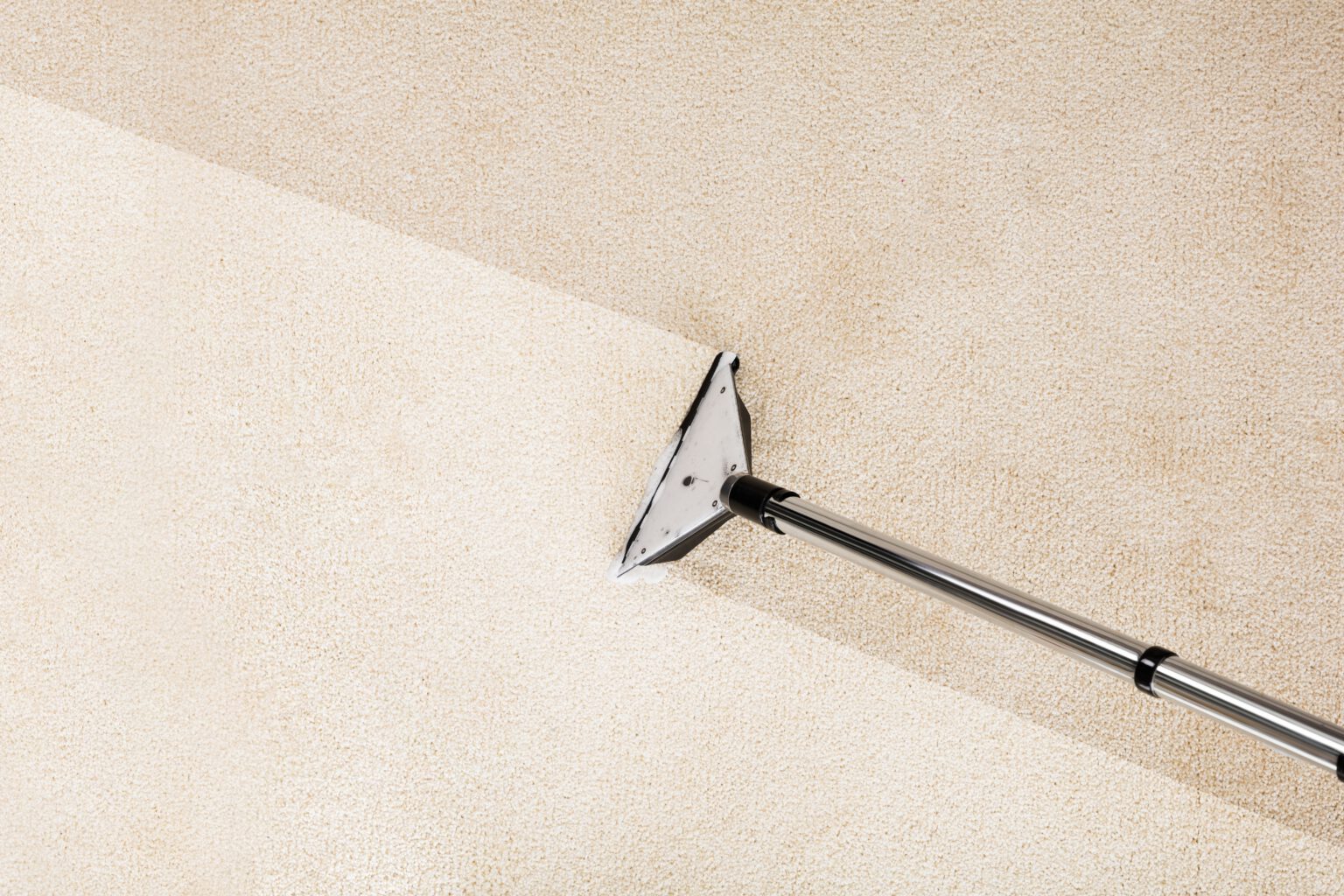 Actisorb | Product Data Sheet - Actichem