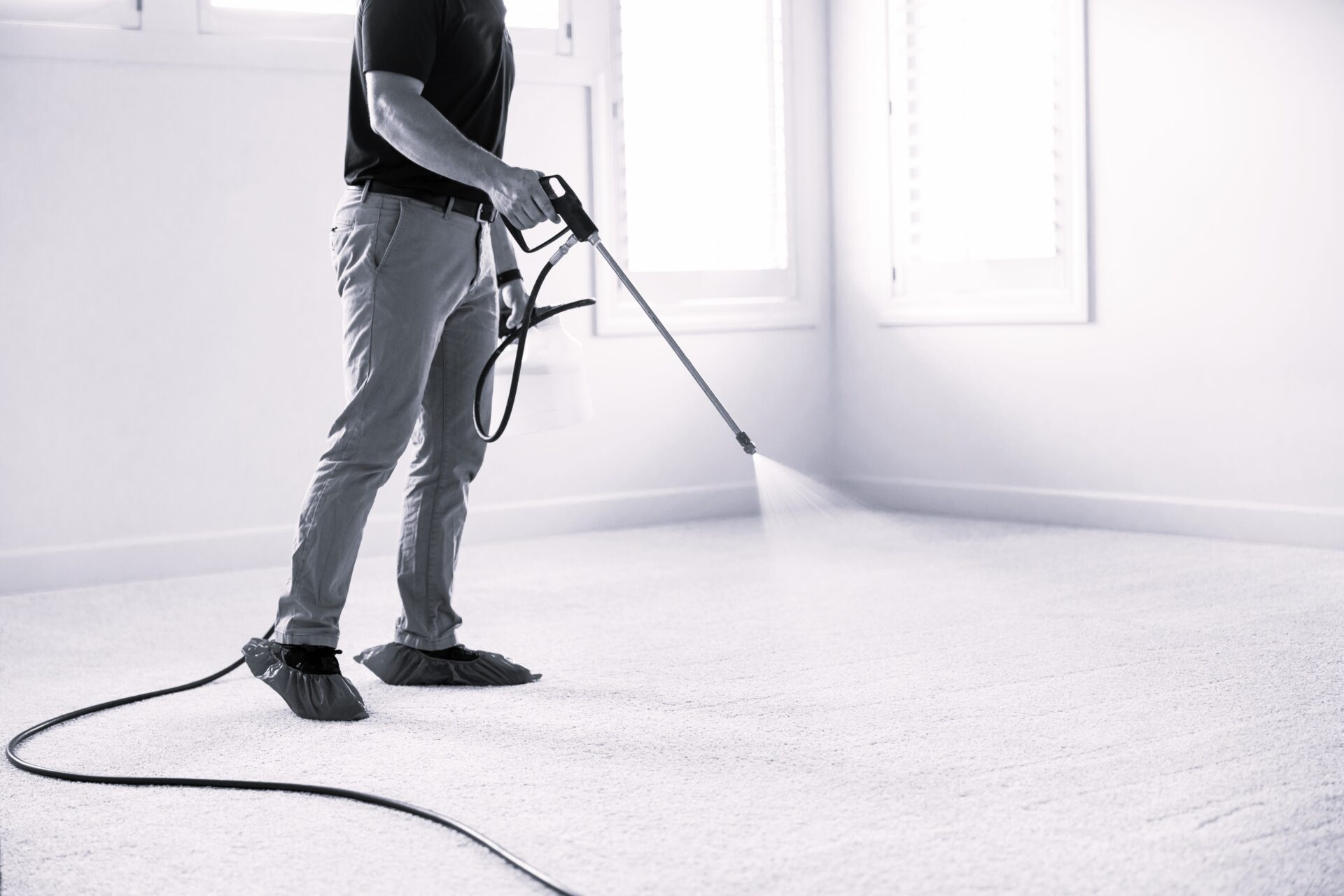 How to deep clean wool carpets from organic soils | Hot Water ...
