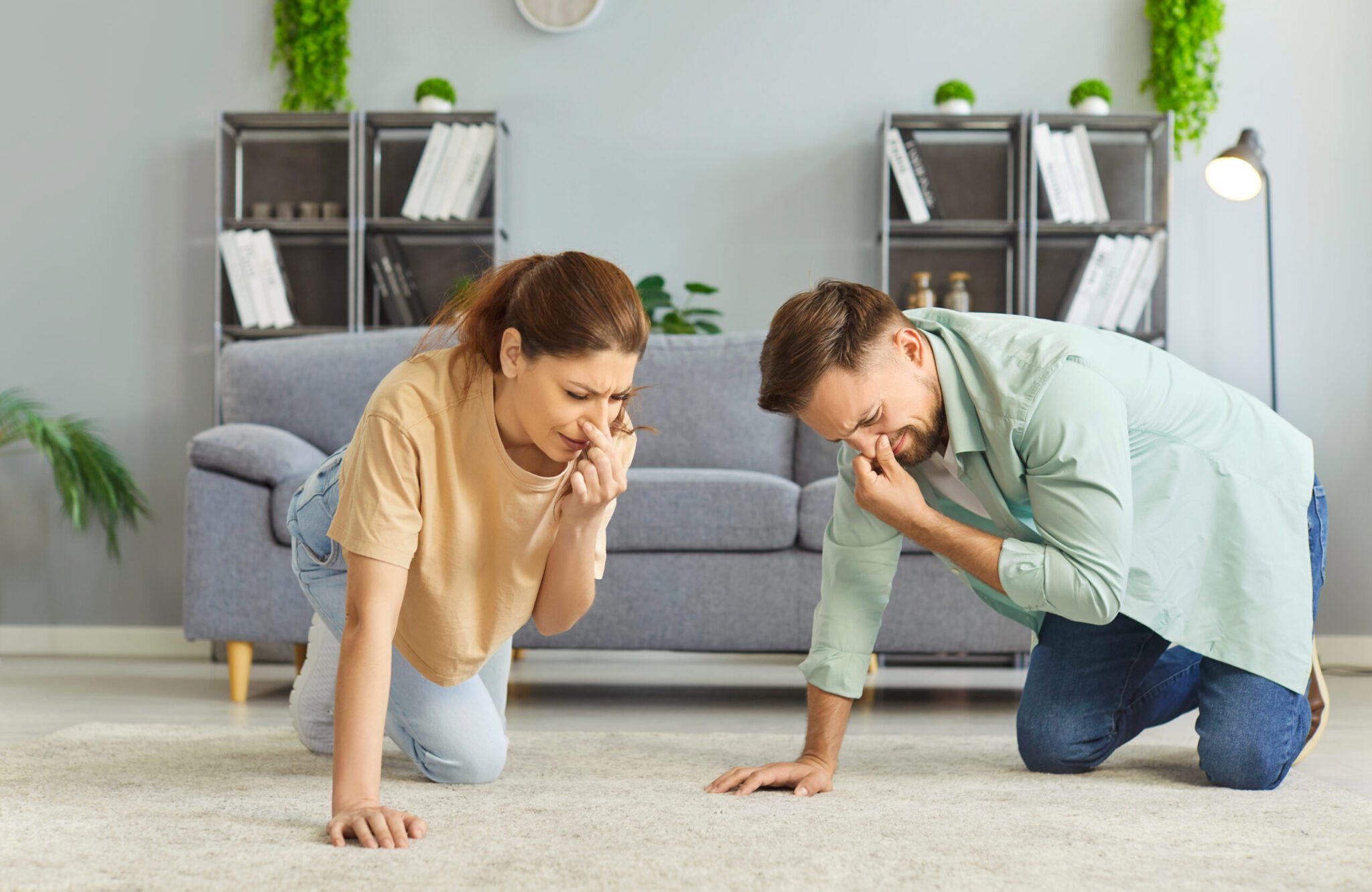 How to Get Rid of Carpet Odours Permanently? - Actichem